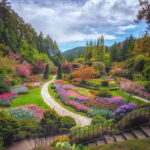 From Vancouver: Victoria City and Butchart Gardens Tour - The Value of the Tour: Is It Worth It?