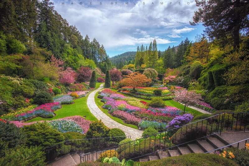 From Vancouver: Victoria City and Butchart Gardens Tour - The Value of the Tour: Is It Worth It?