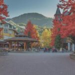 From Vancouver: Whistler and Shannon Falls Private Day Trip - What Makes This Tour Stand Out