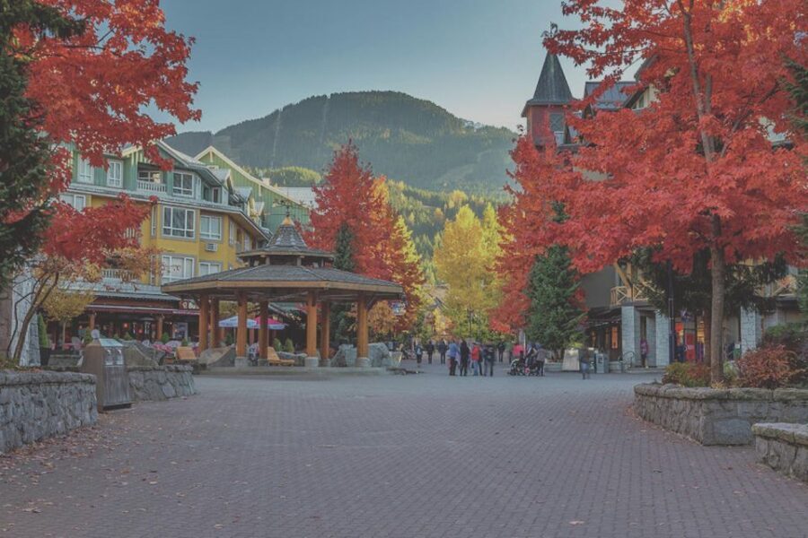 From Vancouver: Whistler and Shannon Falls Private Day Trip - What Makes This Tour Stand Out