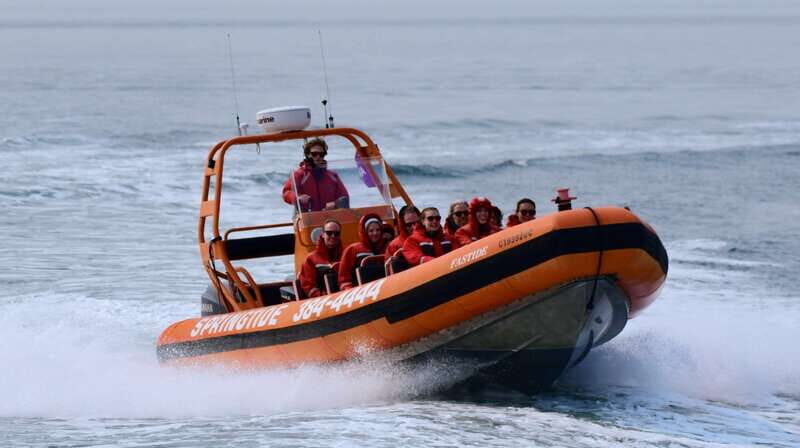 From Victoria: Whale Watching Tour by Zodiac Boat - The Zodiac Experience