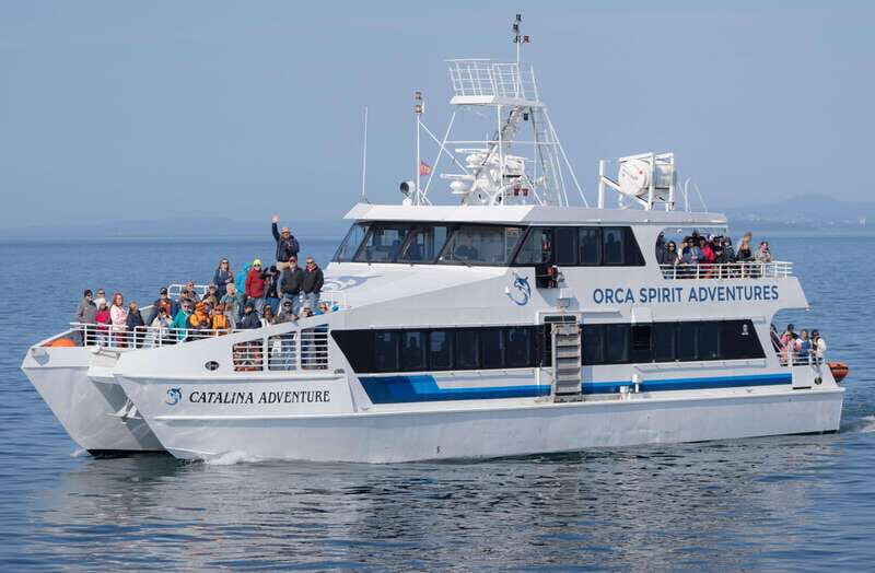 From Victoria: Whale Watching Trip on Covered Boat - The Sum Up: Is This Tour for You?