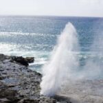 From Waikiki: Oahu Scenic Half-Day Circle Island Tour - What Travelers Say