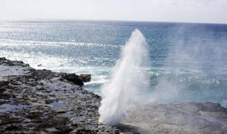 From Waikiki: Oahu Scenic Half-Day Circle Island Tour - What Travelers Say