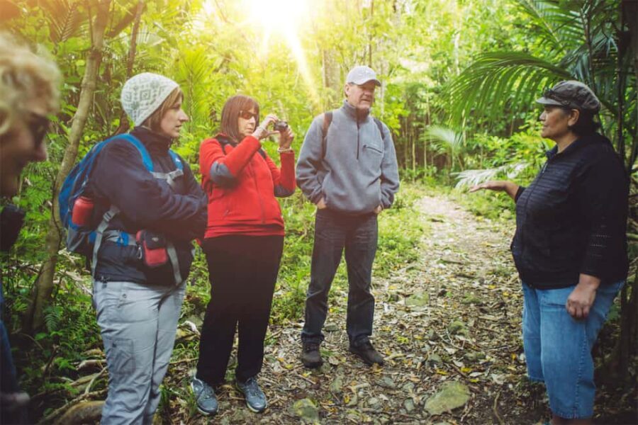 From Wellington: Kapiti Island Classic Guided Day Tour - Transportation and Group Size