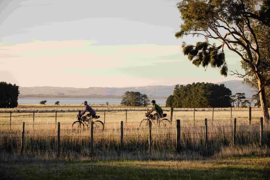 From Wellington: Remutaka Rail Trail eBike Tour - What’s Included and What’s Not