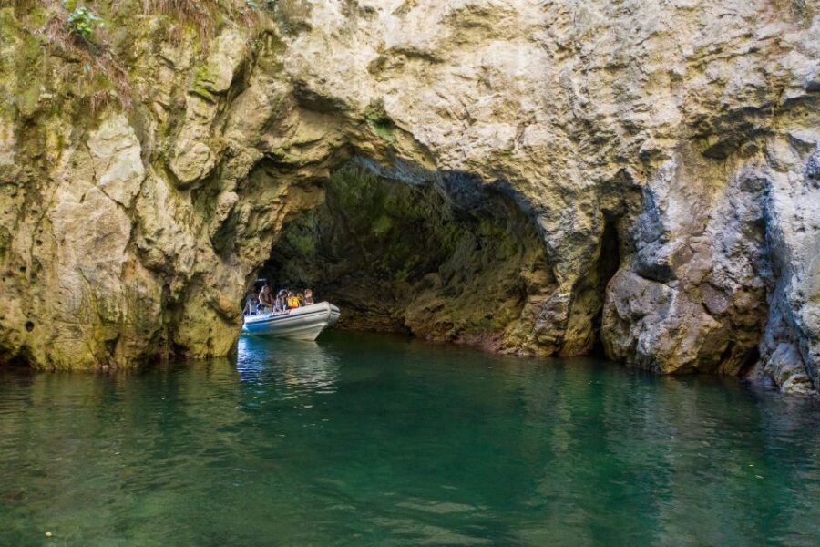 From Whitianga: Cathedral Cove Cruise with Snorkeling - An In-Depth Look at the Cathedral Cove Cruise