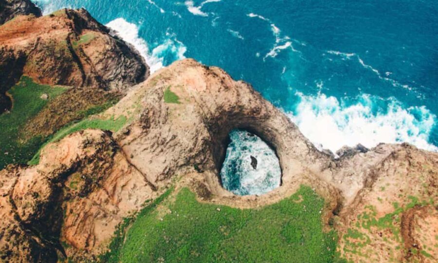 From Windsor: 2-Day Phillip Island & Wilsons Promontory Tour - Authentic Experiences and Guest Feedback