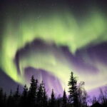 From Yellowknife: Northern Lights Bus Tour with Photos - Why This Tour Offers Great Value