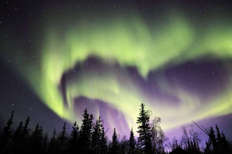 From Yellowknife: Northern Lights Bus Tour with Photos - Why This Tour Offers Great Value