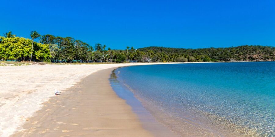 From Yeppoon: Great Keppel Island Snorkeling Hire with Lunch - What’s Included and What’s Not