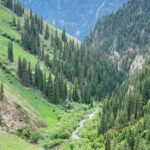 From Yining: Wusun Ancient Trail and Silk Road 7-Day Trek - An Overview of the Experience