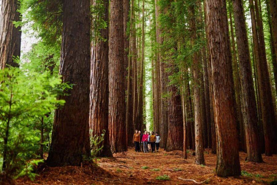 Fruit Picking & Nature Tour Yarra Valley & Warburton - Exploring the Itinerary
