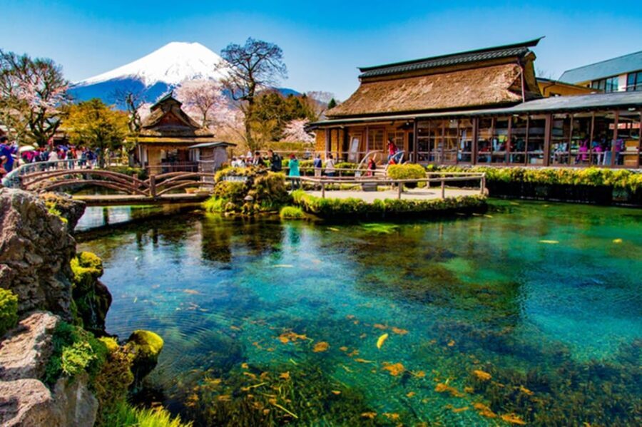 Fuji/Hakone Private Tour, English speaking guide, Photograph - Why This Tour Is a Smart Choice