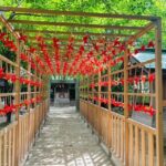 Fukuoka: Customized Private Tour - A Close Look at the Fukuoka Private Tour