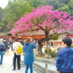 Fukuoka: Dazaifu Tenmangu 2-Hour Private Guide Tour - What’s Included and What’s Not