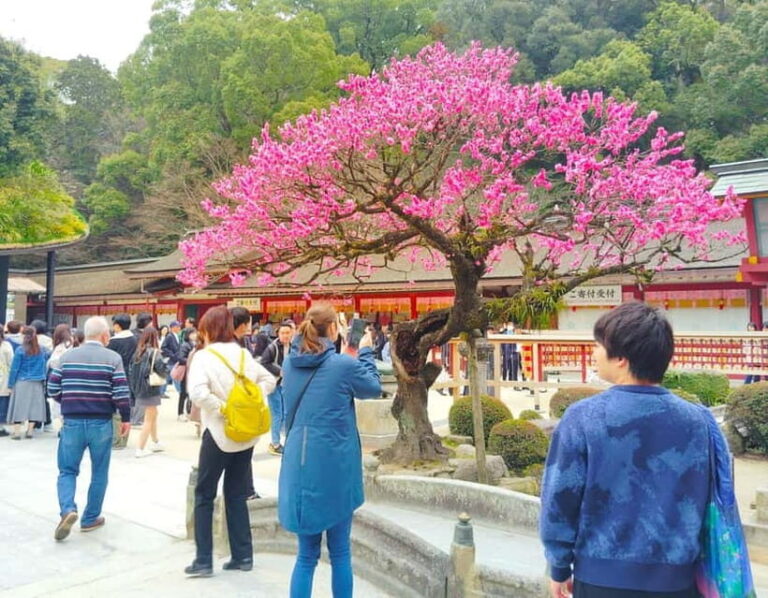 Fukuoka: Dazaifu Tenmangu 2-Hour Private Guide Tour - What’s Included and What’s Not