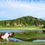 Fukuoka: Mount Aso Volcano, Kumamoto Castle, Grasslands Day Tour - Who Would Enjoy This Tour Most?