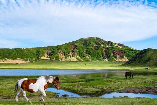 Fukuoka: Mount Aso Volcano, Kumamoto Castle, Grasslands Day Tour - Who Would Enjoy This Tour Most?