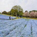 Fukuoka Private Customizable Half Day Tour - FAQs