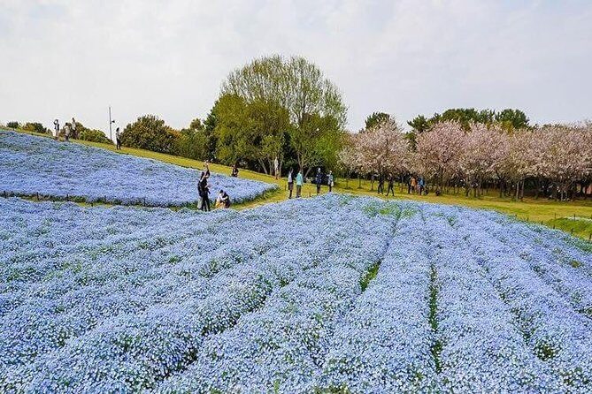 Fukuoka Private Customizable Half Day Tour - FAQs