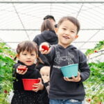 Fukuoka Strawberry Picking, Shopping and TeamLab Day Bus Tour - How Does the Value Measure Up?