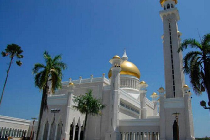 Full Brunei Experience - City Excursion - Water Village and Mangrove Safari - A Deep Dive into the Itinerary and Why It Matters for Travelers