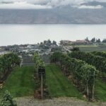 Full Day 4 Wineries Mission Hill & Quails Gate With Lunch Stop* - Starting Your Day with Ease and Style