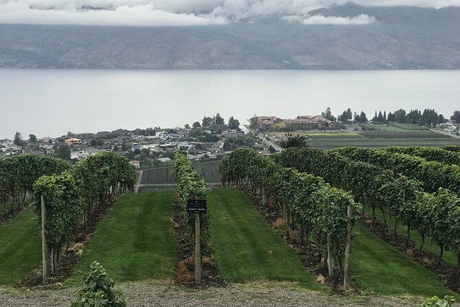 Full Day 4 Wineries Mission Hill & Quails Gate With Lunch Stop* - Starting Your Day with Ease and Style