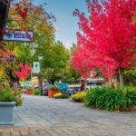 Full Day Adelaide Private Guided Car Tour - Who Will Love This Tour?
