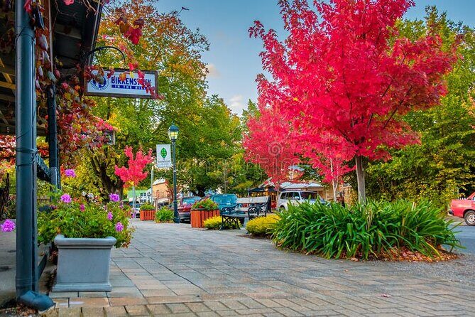 Full Day Adelaide Private Guided Car Tour - Who Will Love This Tour?