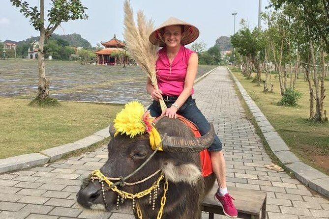 Full-day admire Bai Dinh - Trang An, EPIC landscape of Vietnam | ALL-INCLUDED - Food and Comfort: Making the Most of Your Day