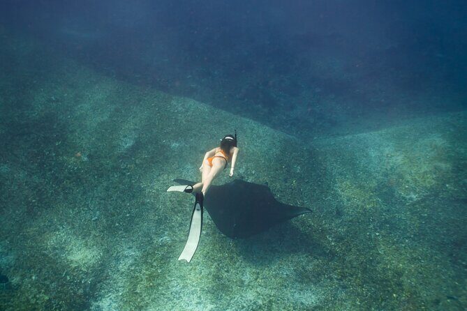 Full-Day Adventure Tour to komodo Island with join Speed Boat tur - Practical Details: What Does This Tour Offer?
