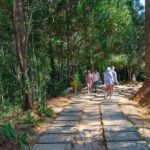 Full-day Adventurous Day In Da Lat's Nature - Authentic Experiences and Traveler Feedback