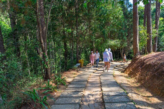 Full-day Adventurous Day In Da Lat's Nature - Authentic Experiences and Traveler Feedback