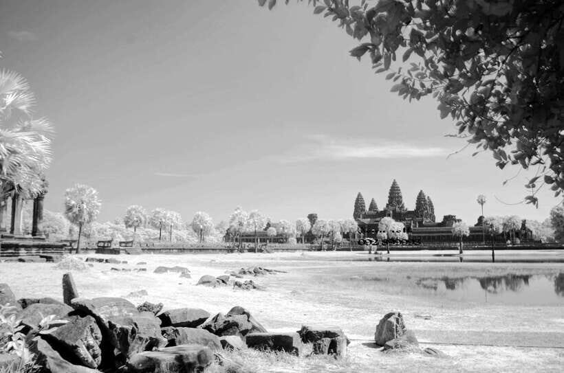 Full-Day Angkor Wat Sunrise and Sunset Private Tour - Exploring the Jungle and Hollywood’s Favorite Temple: Ta Prohm