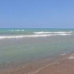 Full-Day Beach Day at Grand Bend - Practical Considerations and Value
