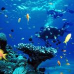 Full-Day Beginner Scuba Course with Private Tuition, Racha Yai - Detailed Itinerary & Experience Breakdown