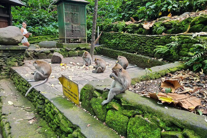 Full Day Best of Ubud Private Tour - What Youll Experience and Why It Matters