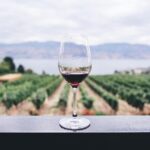 Full-Day Boutique Wine Tour with Pick Up and Lunch - Analyzing the Value: Is It Worth the Price?