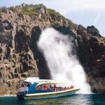 Full-Day Bruny Island Cruises Day Tour from Hobart - Detailed Breakdown of the Itinerary