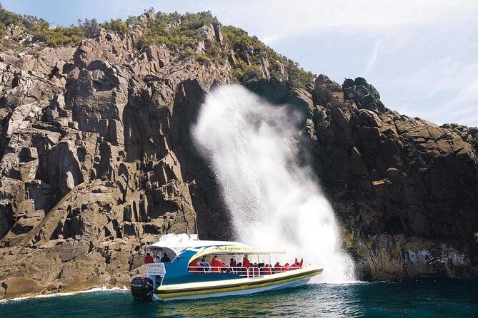 Full-Day Bruny Island Cruises Day Tour from Hobart - Detailed Breakdown of the Itinerary