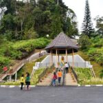 Full-day Bukit Tinggi French Village Tour - Logistical Insights: Making the Most of Your Day