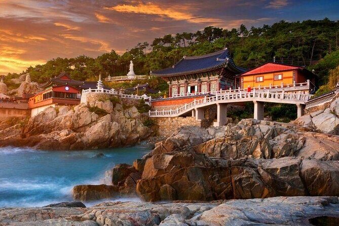 Full-Day Busan Highlights Private Guided Tour - Detailed Breakdown of the Itinerary