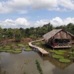Full-day Cai Rang floating market - explore countryside, make bakery - from HCM - First Stop: Cai Rang Floating Market — The Largest in Vietnam