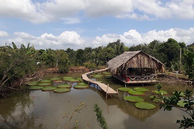 Full-day Cai Rang floating market - explore countryside, make bakery - from HCM - First Stop: Cai Rang Floating Market — The Largest in Vietnam