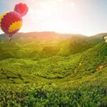 Full Day Cameron Highlands Nature Tour with Hobbitoon Village - Making the Most of Your Day