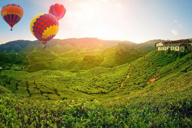 Full Day Cameron Highlands Nature Tour with Hobbitoon Village - Making the Most of Your Day