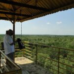Full-day Can Gio Eco Escape And Wildlife Discovery - Visiting the Vam Sat Ecological Zone: Birds, Crocodiles, and Bats