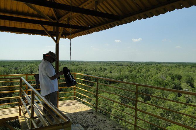 Full-day Can Gio Eco Escape And Wildlife Discovery - Visiting the Vam Sat Ecological Zone: Birds, Crocodiles, and Bats